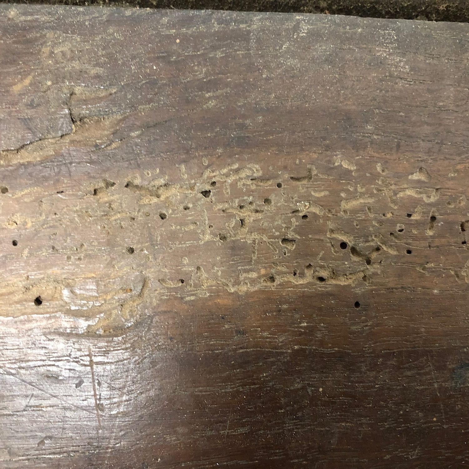 How To Treat Woodworm On Furniture - Priory Polishes